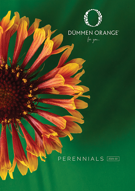 Catalogs - Dümmen Orange